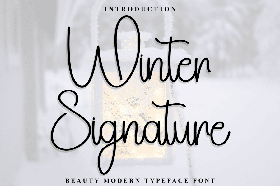 Winter Signature Font · 1001 Fonts