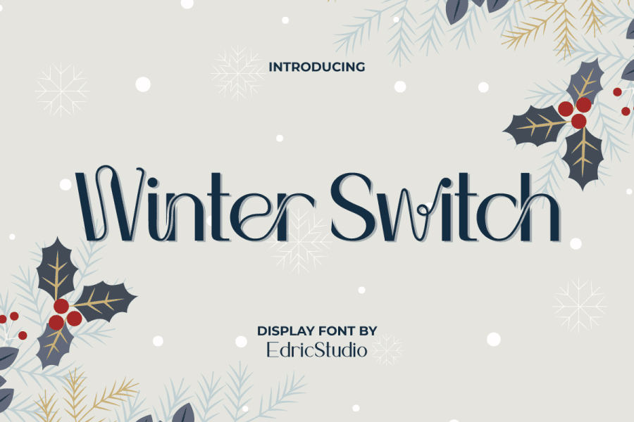 Winter Switch Demo Font · 1001 Fonts