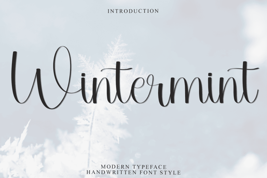 Wintermint Font · 1001 Fonts