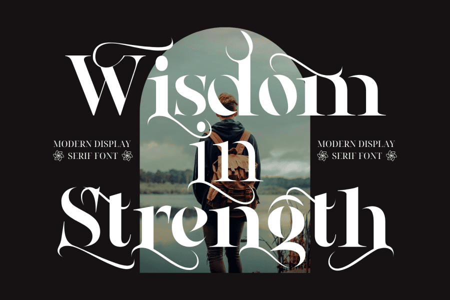Wisdom in Strength Demo Font · 1001 Fonts