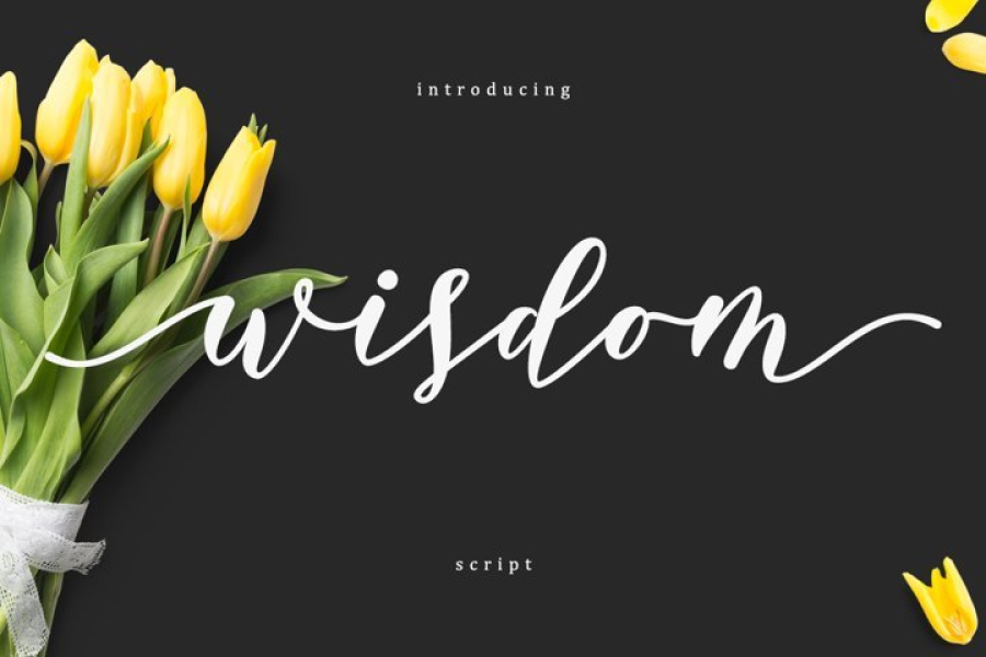 Wisdom Script Font · 1001 Fonts