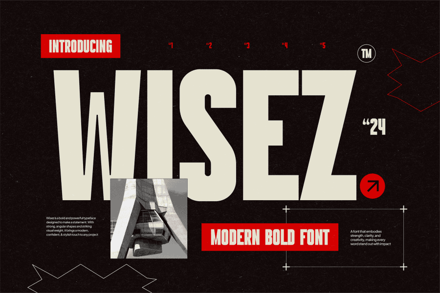 WISEZ Font · 1001 Fonts