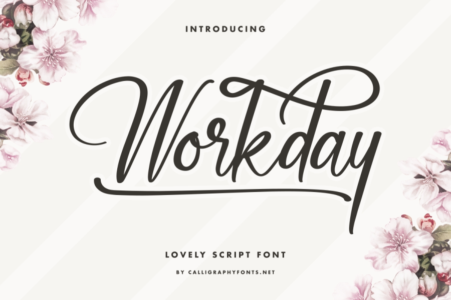 Workday Demo Font · 1001 Fonts