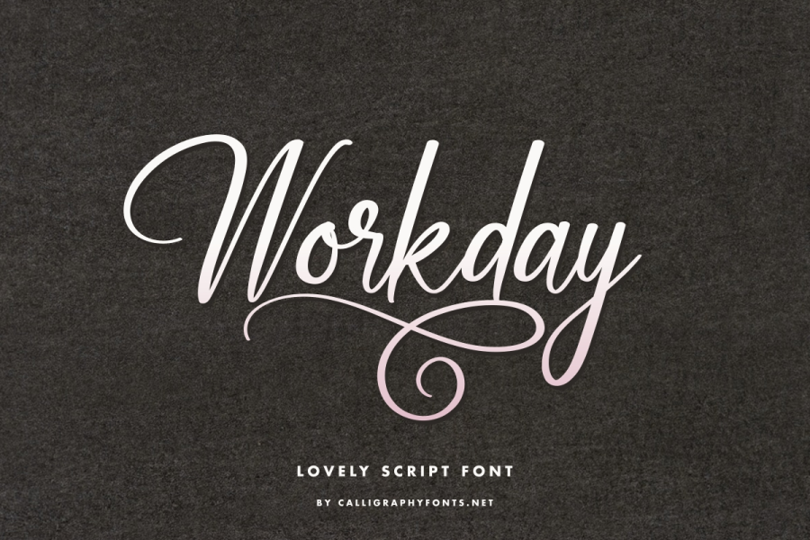 Workday Demo Font · 1001 Fonts