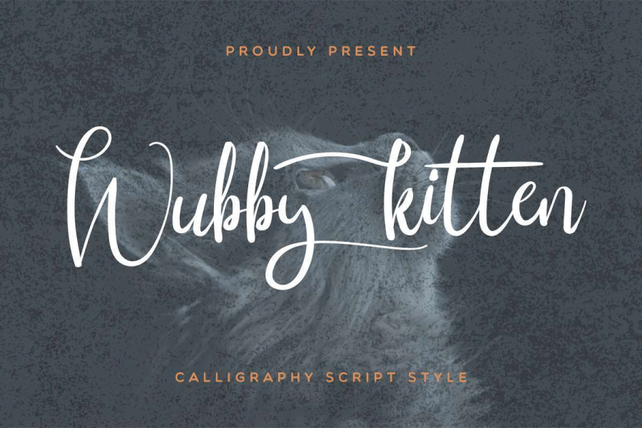 Wubby Kitten Demo Font · 1001 Fonts