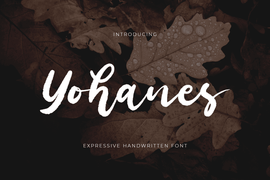 2 Free Description, Mixed Case Fonts · 1001 Fonts