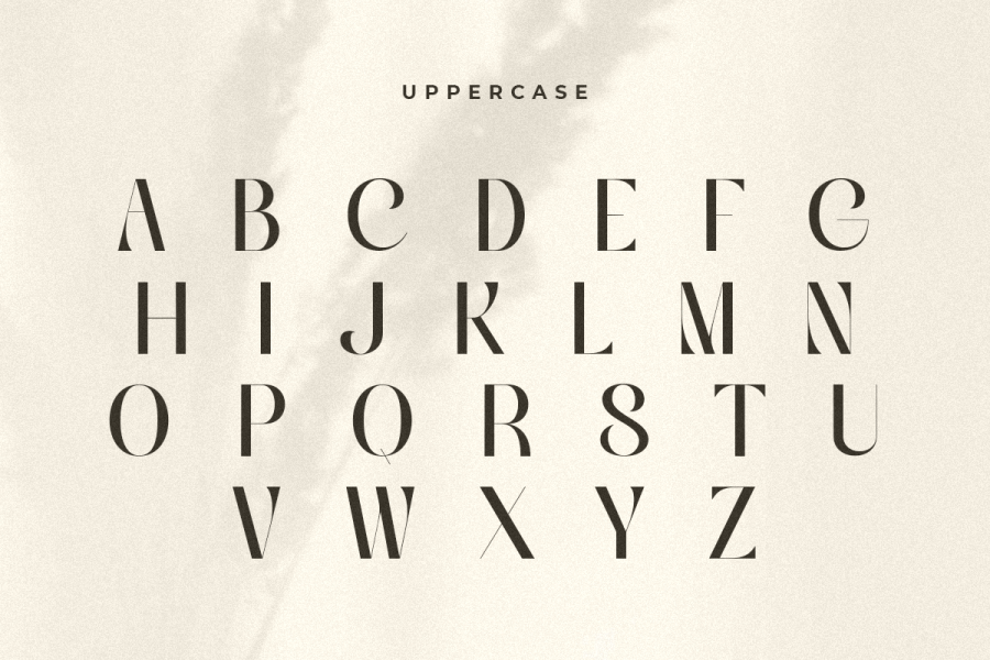 Young Font · 1001 Fonts