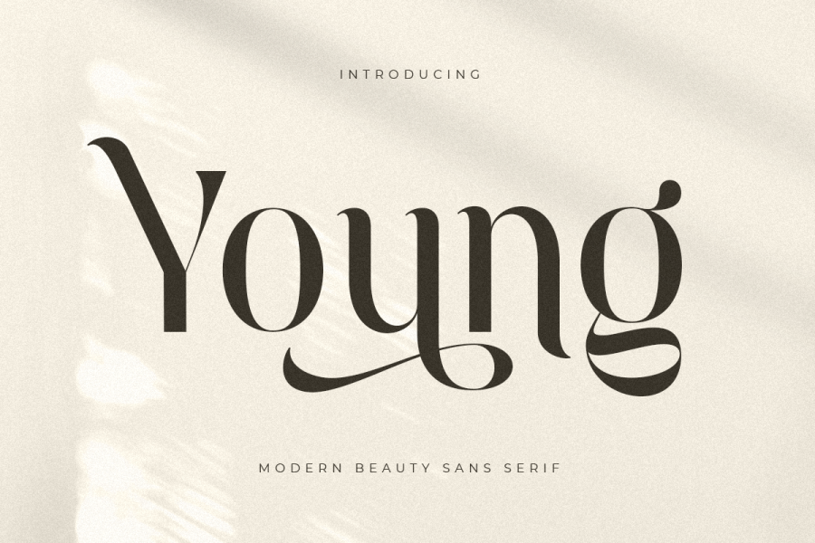Young Font · 1001 Fonts