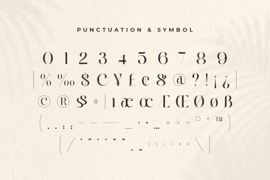 Young Font · 1001 Fonts