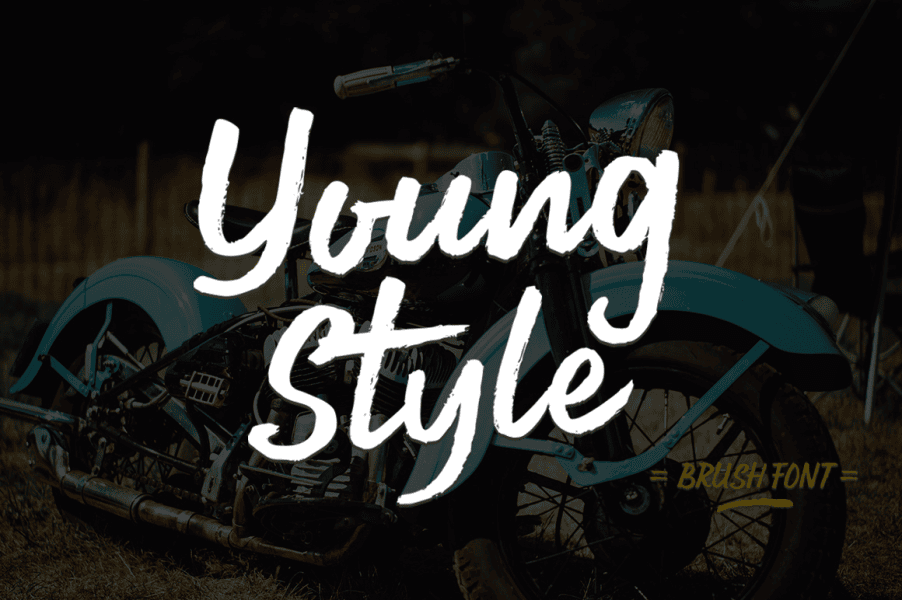 Young Style Font Family · 1001 Fonts