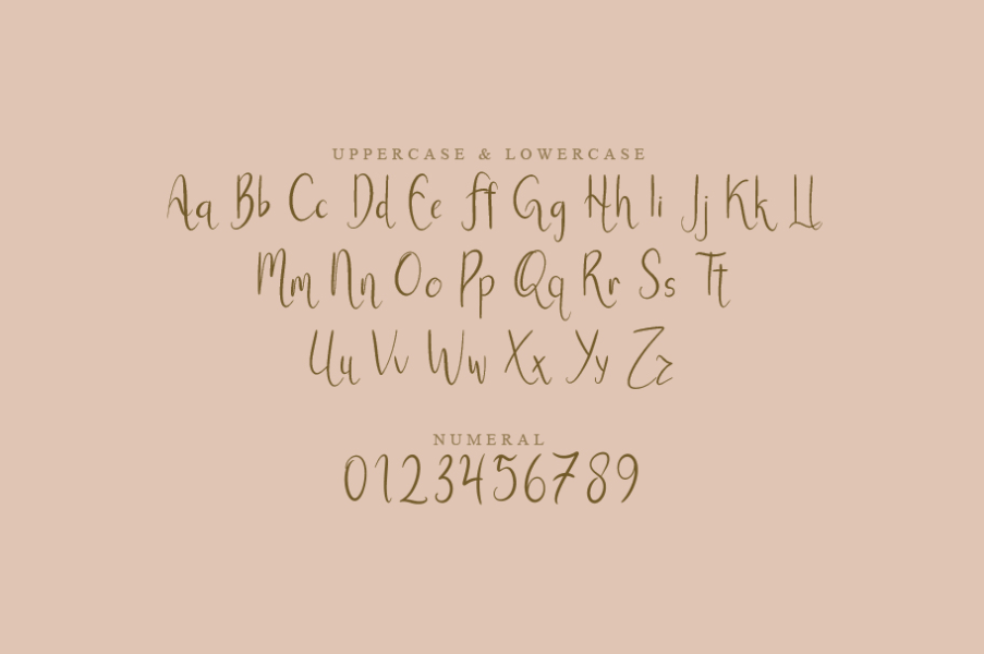Zagher Font · 1001 Fonts