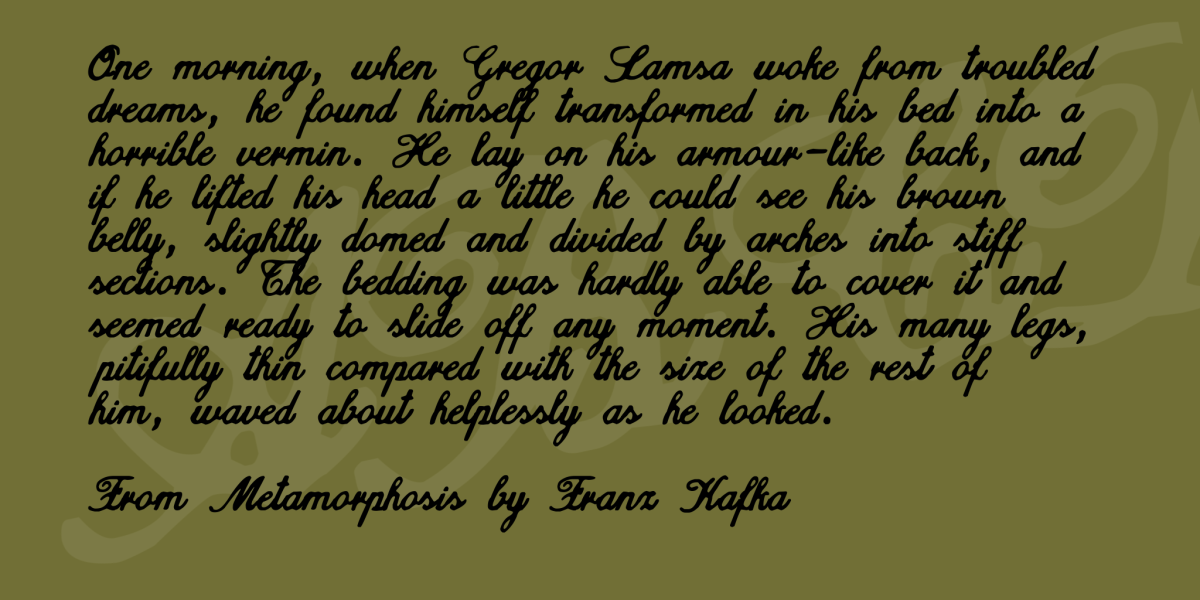 zai Calligraphy Script Handwritten Font · 1001 Fonts