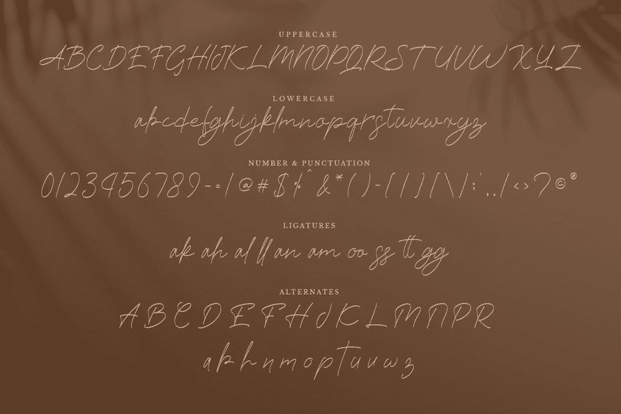Zamira Font · 1001 Fonts