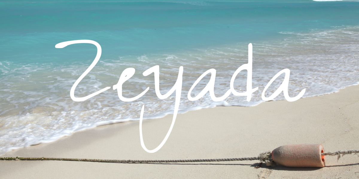 Zeyada Font · 1001 Fonts