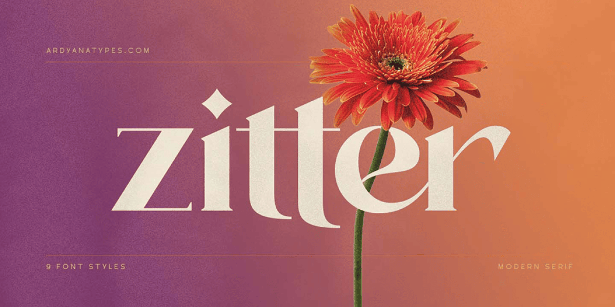 Zitter Font · 1001 Fonts
