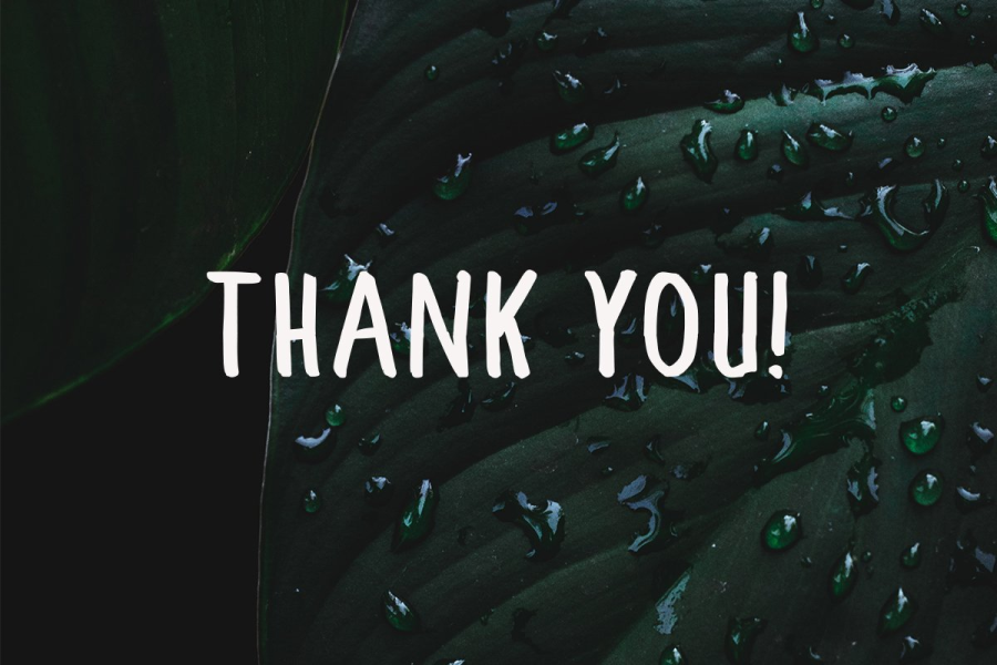 Zoro Demo Font · 1001 Fonts