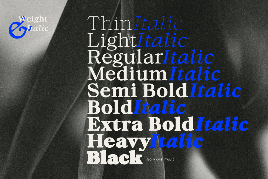 Zelow Type · 1001 Fonts