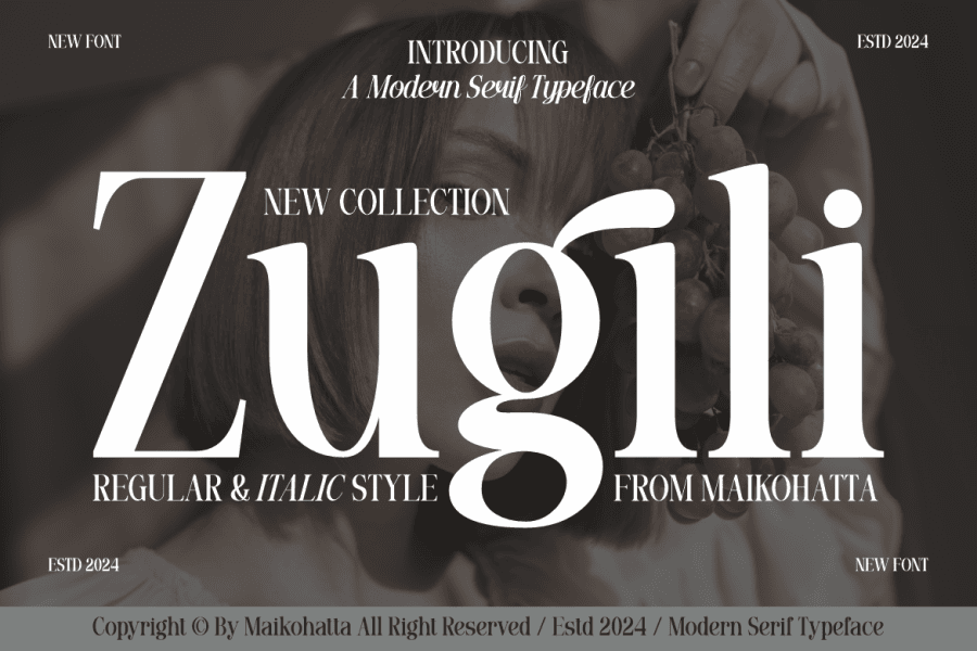 Zugili Font Family · 1001 Fonts